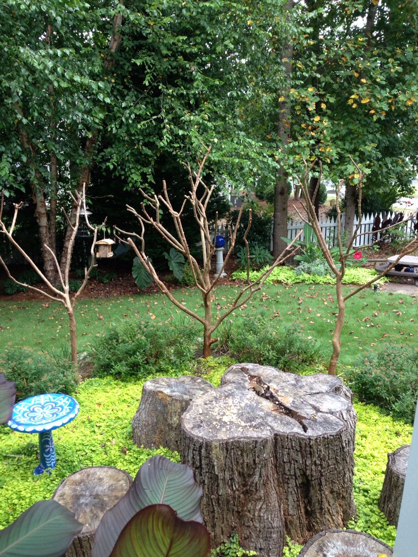 22 Garden Tree Decor Ideas You Should Look | SharonSable