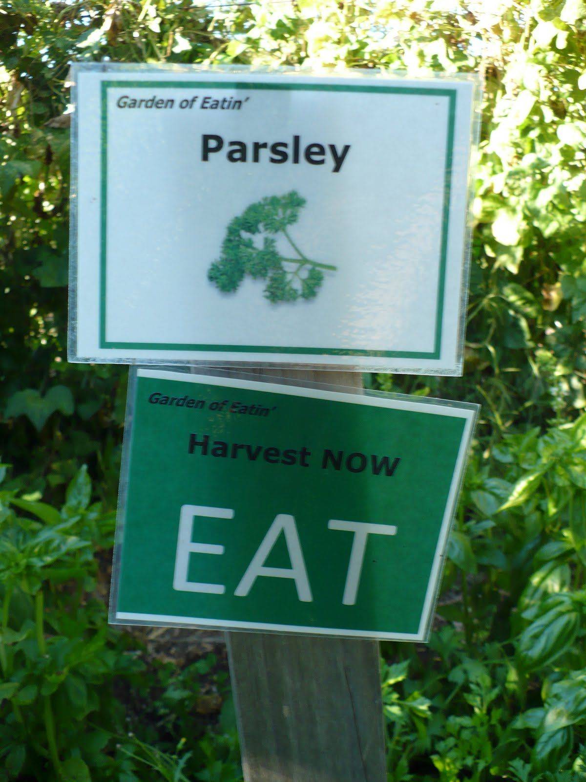 22 School Garden Signs Ideas You Should Check | SharonSable
