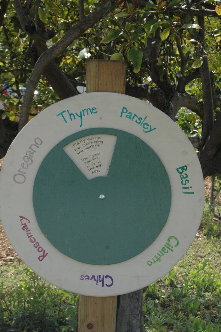 22 School Garden Signs Ideas You Should Check | SharonSable