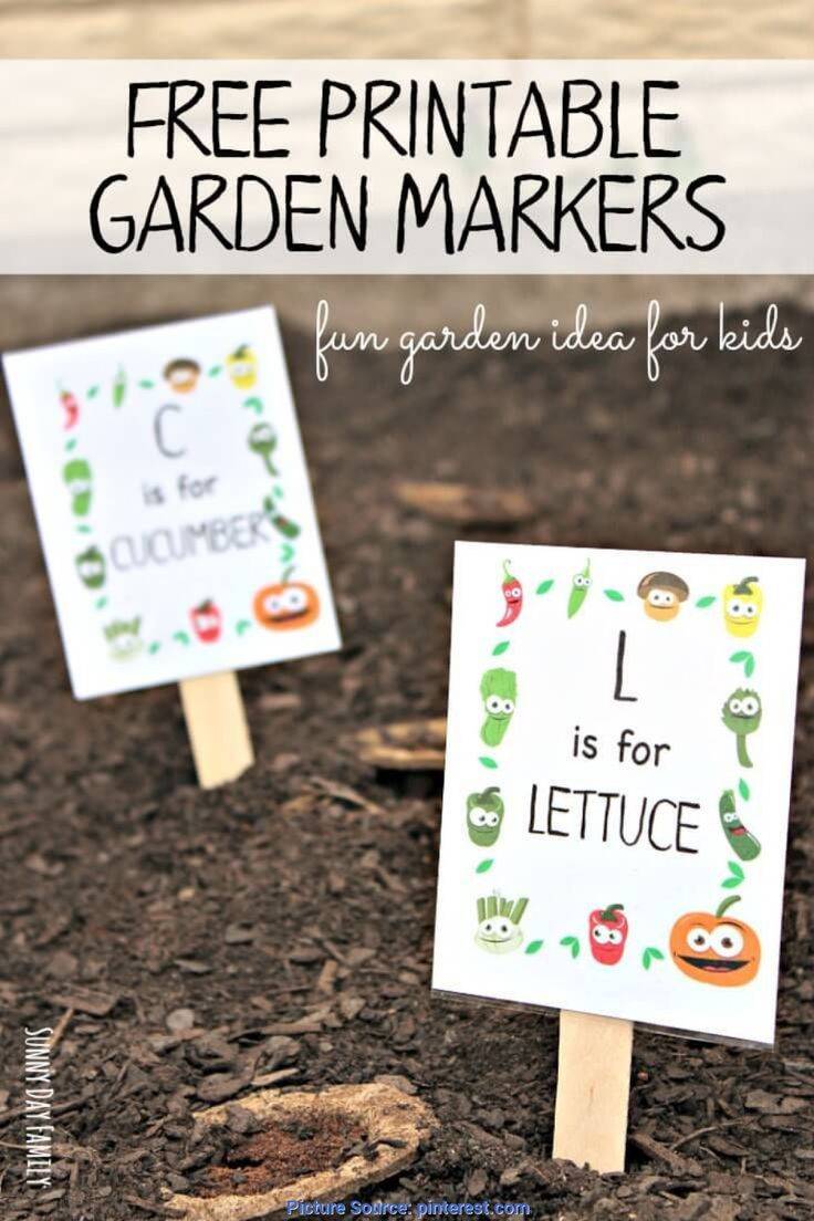 22 School Garden Signs Ideas You Should Check | SharonSable