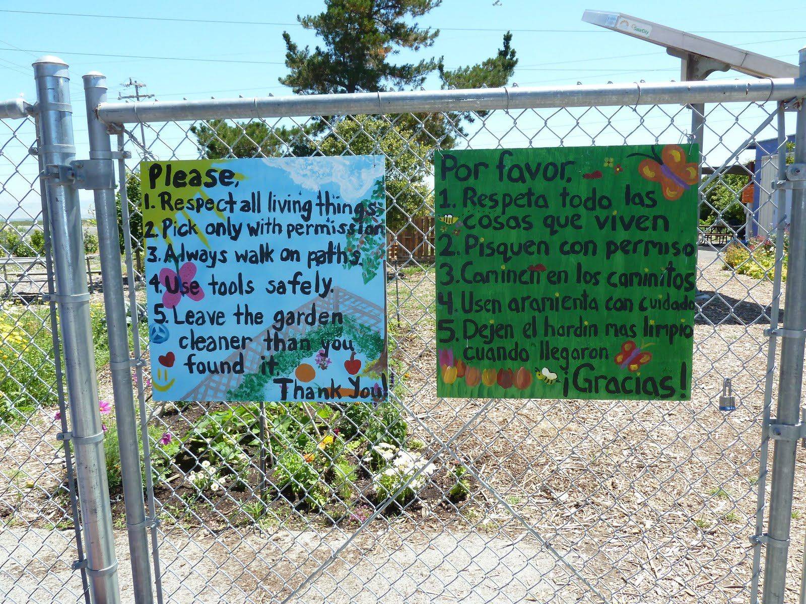 22 School Garden Signs Ideas You Should Check | SharonSable
