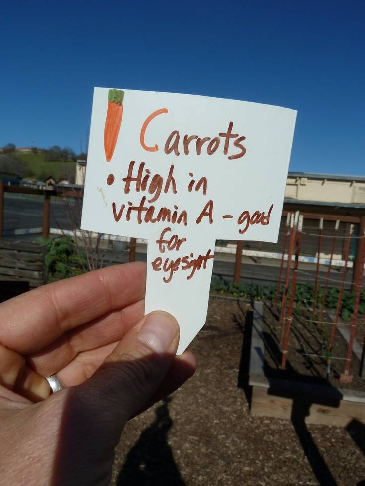 22 School Garden Signs Ideas You Should Check | SharonSable