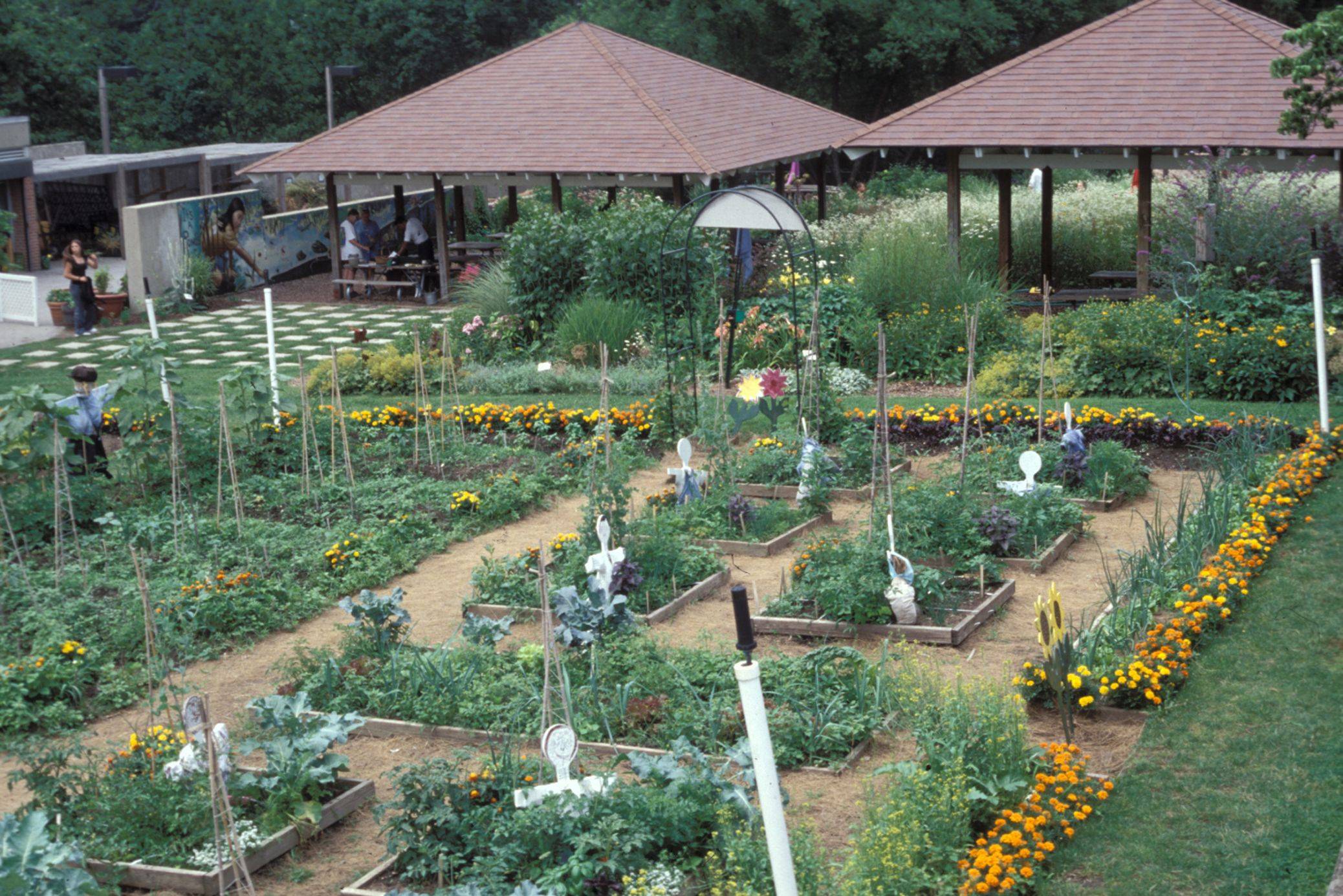 21 School Garden Layout Ideas Worth a Look | SharonSable