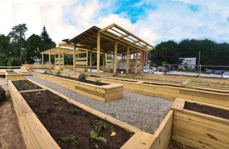 21 School Garden Layout Ideas Worth a Look | SharonSable