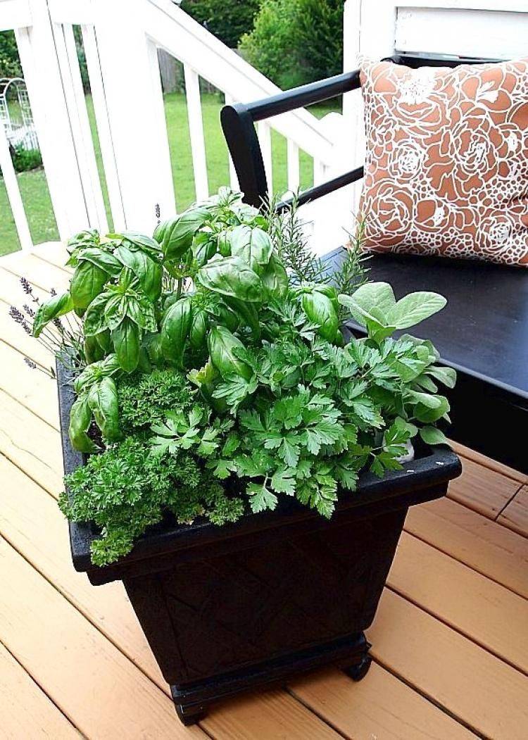 24 Container Herb Garden Ideas Worth to Check | SharonSable