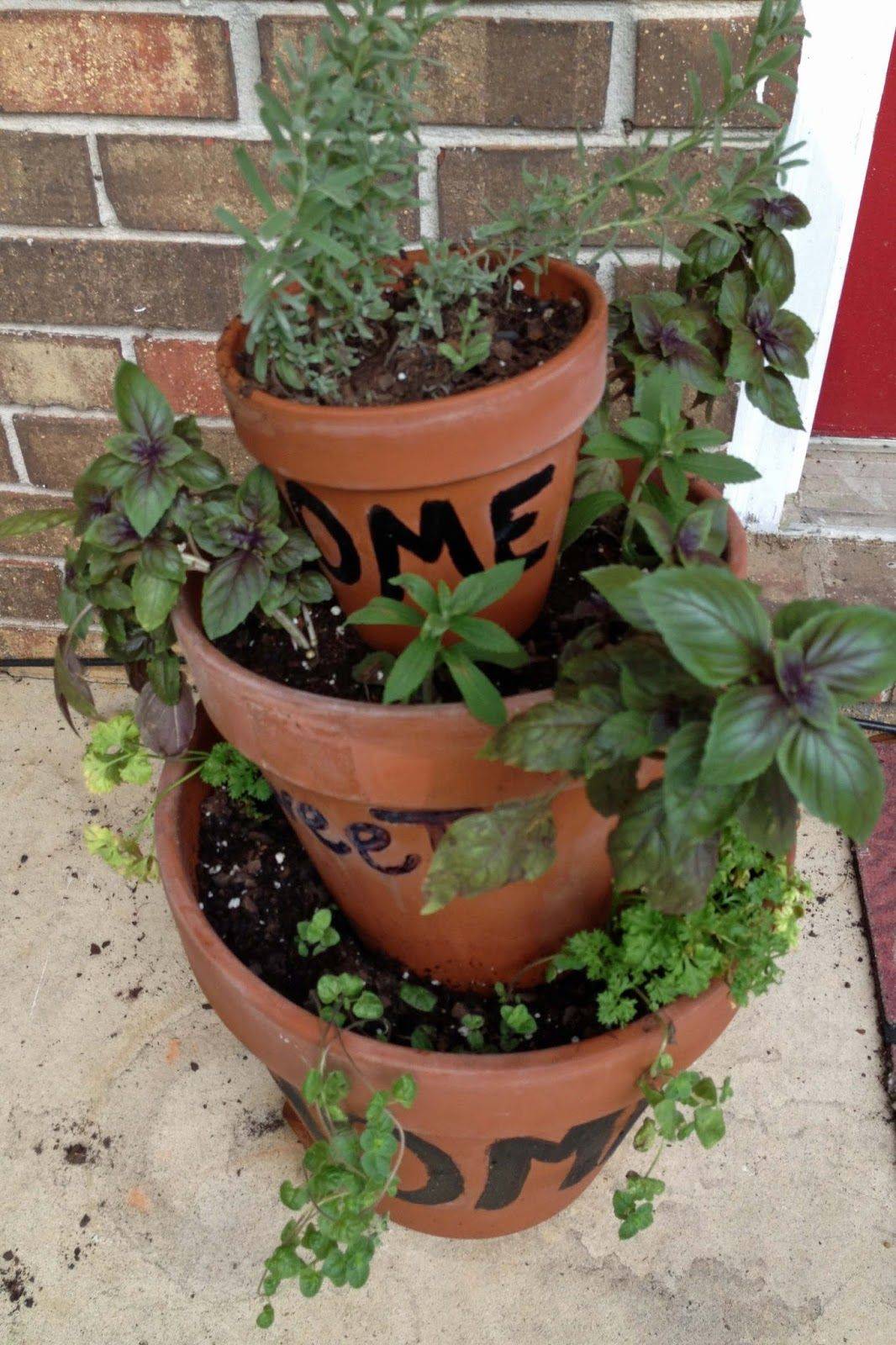 24 Container Herb Garden Ideas Worth to Check | SharonSable