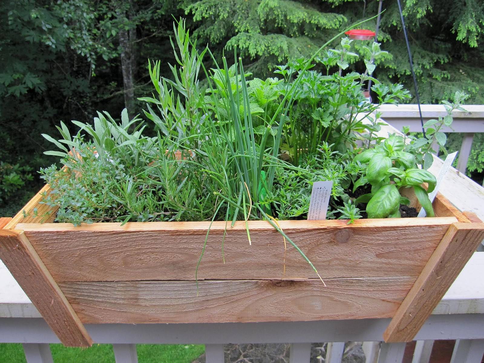24 Container Herb Garden Ideas Worth to Check | SharonSable