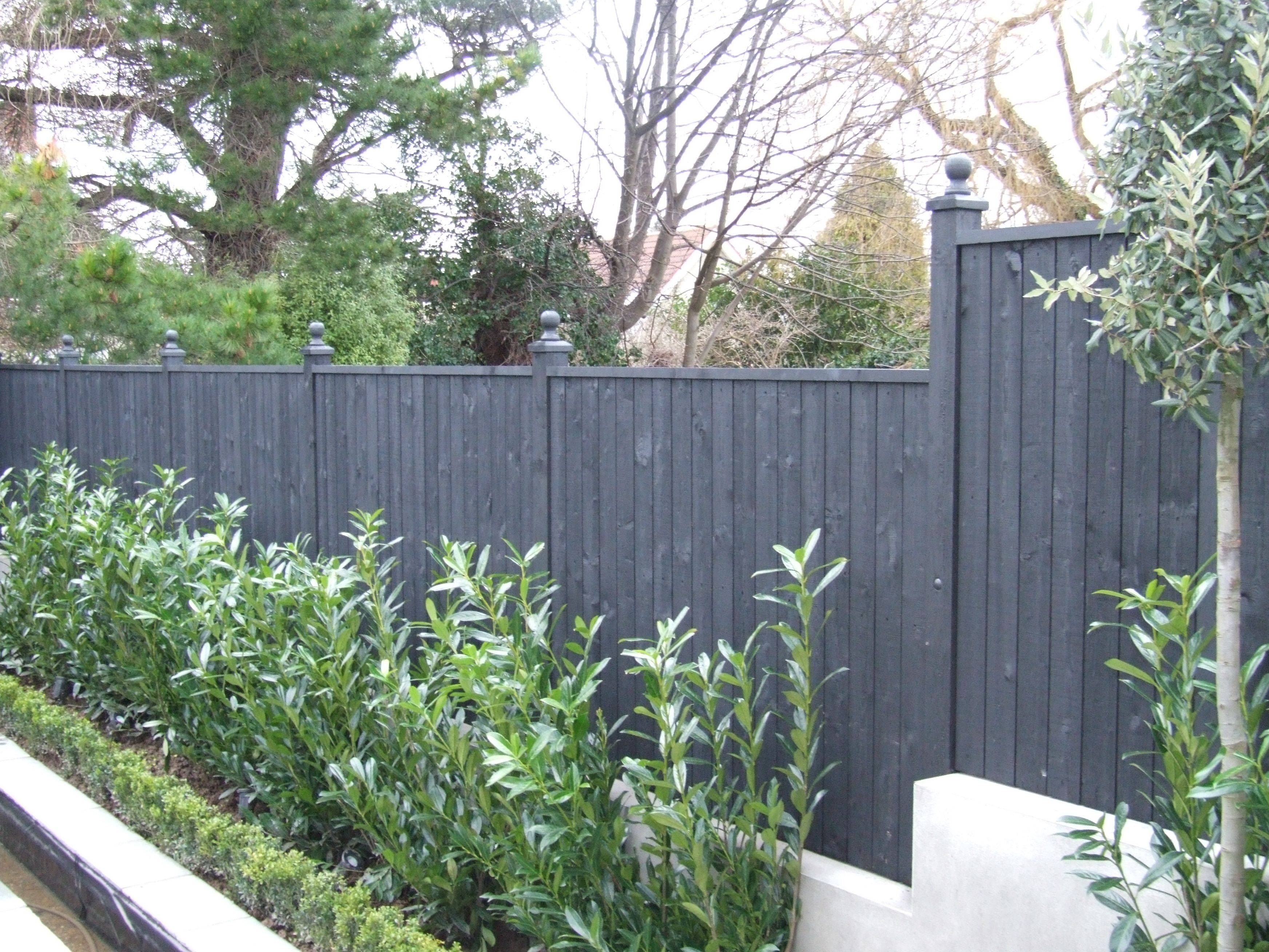 22 Painted Garden Fence Ideas Worth a Look | SharonSable