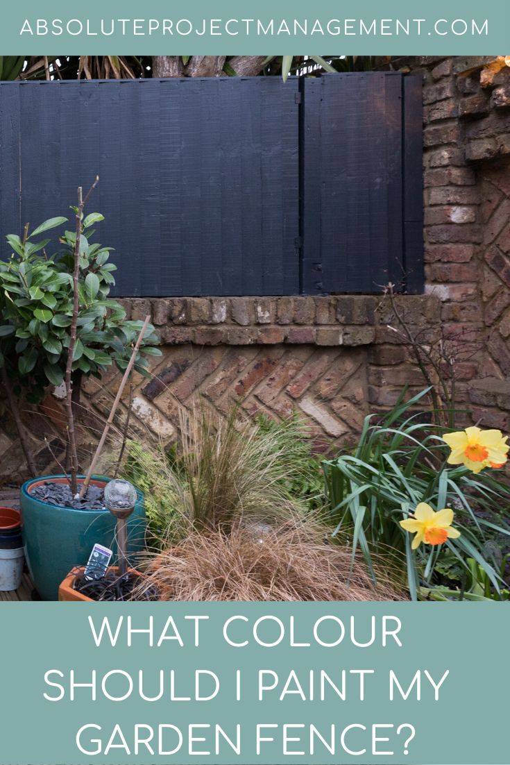 20 Garden Fence Painting Ideas You Cannot Miss | SharonSable