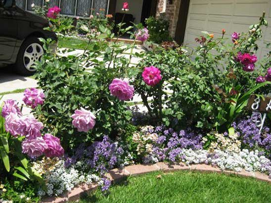 23 Planting a Small Rose Garden Ideas You Should Look | SharonSable