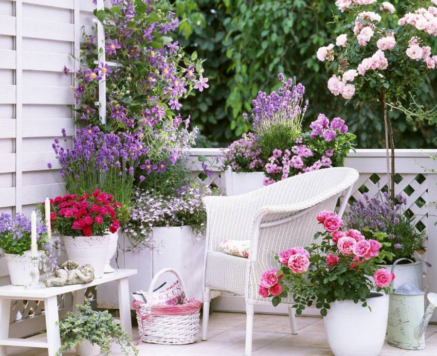 23 Planting a Small Rose Garden Ideas You Should Look | SharonSable