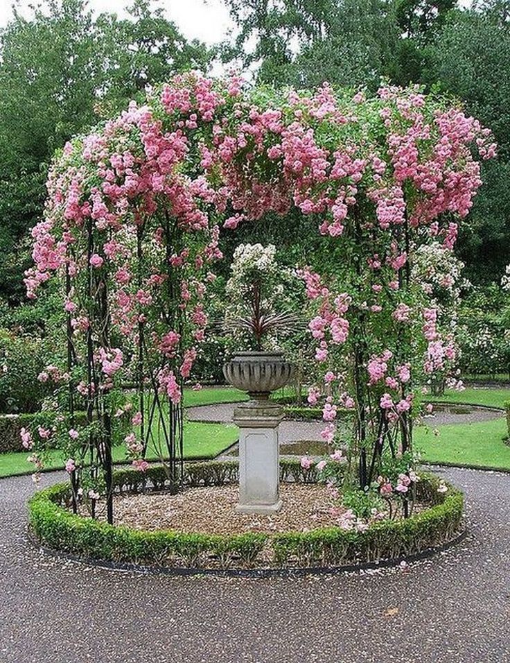 23 Planting a Small Rose Garden Ideas You Should Look | SharonSable