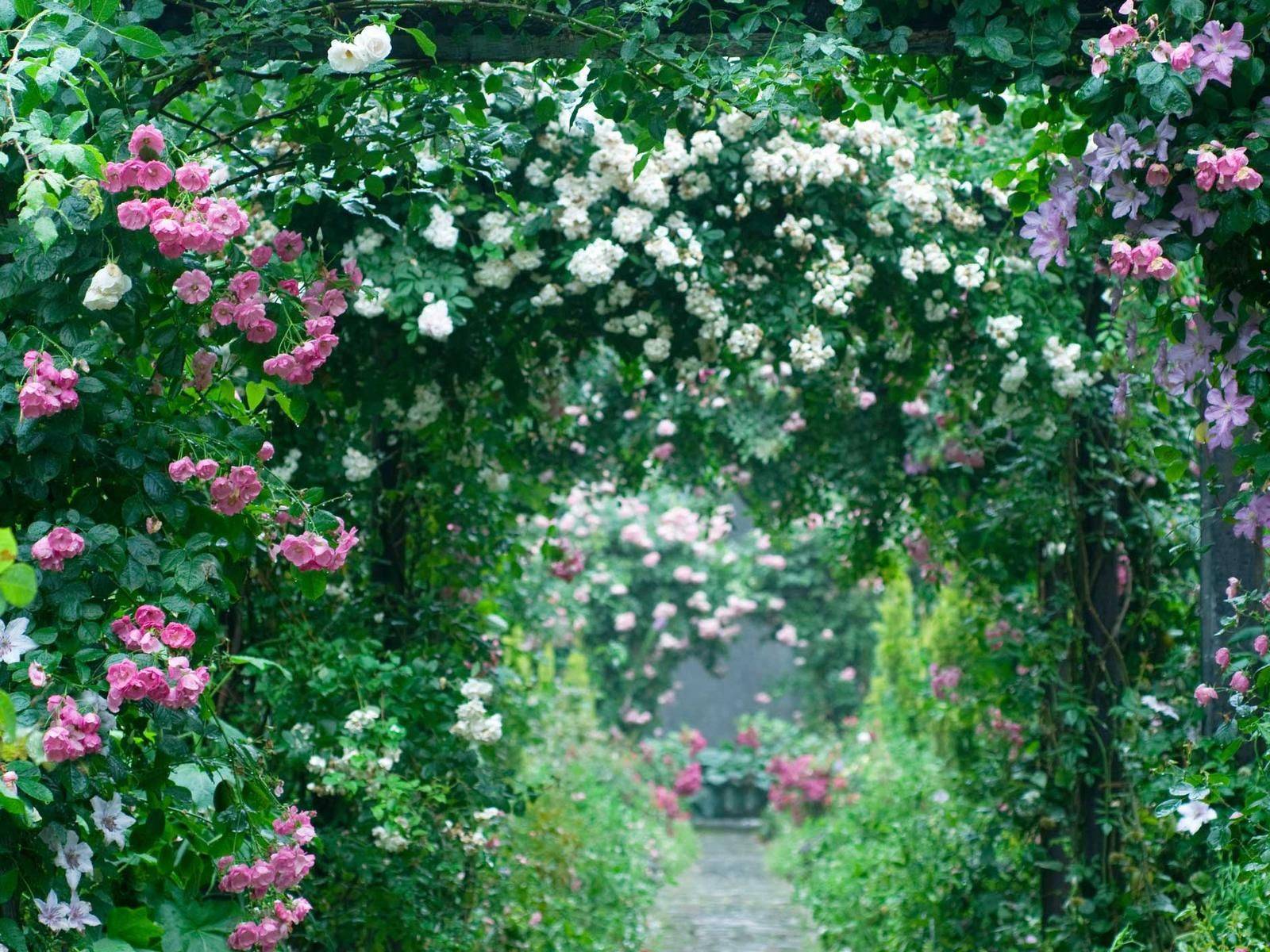 21 Simple Rose Garden Ideas You Should Check | SharonSable