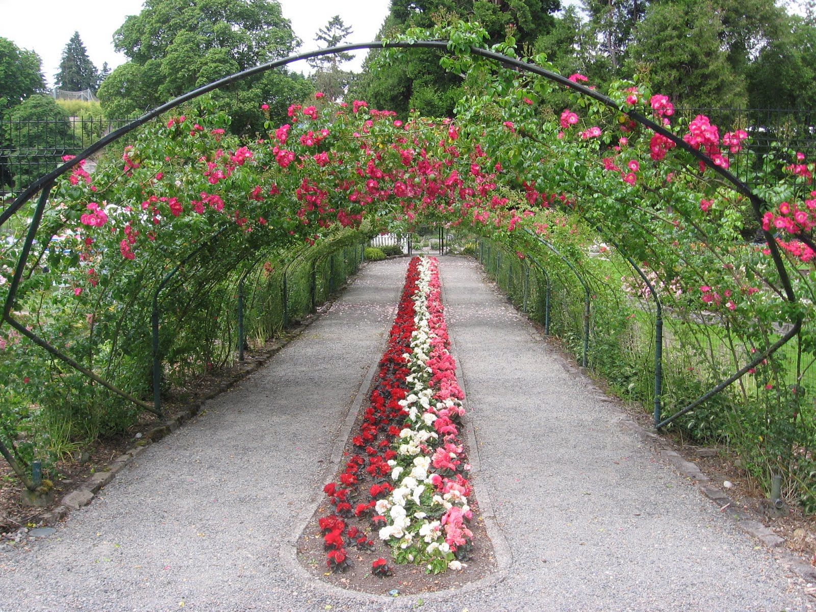 21 Washington Park Rose Garden Ideas To Consider | SharonSable