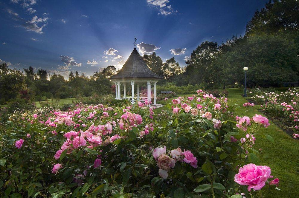 23 Portland Rose Garden View Ideas To Consider | SharonSable