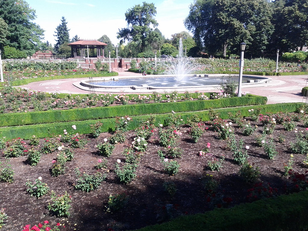 18 Portland Rose Garden Map Ideas You Should Look | SharonSable