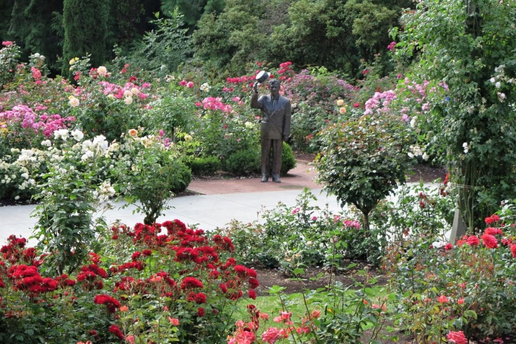 18 Portland Rose Garden Map Ideas You Should Look | SharonSable