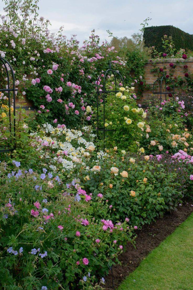 22 Most Beautiful Rose Garden Ideas Worth a Look | SharonSable