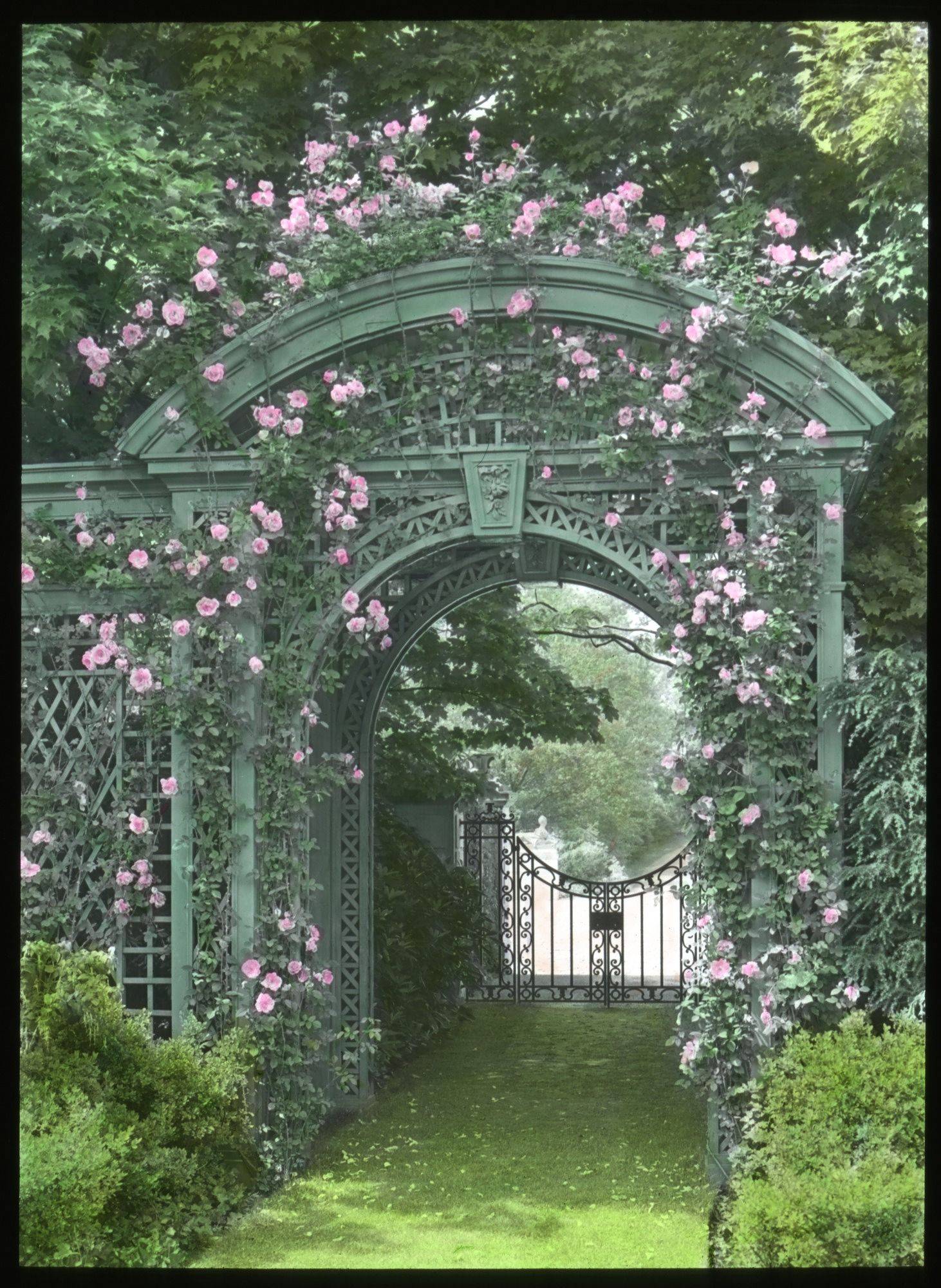 19 Rose Garden Arch Ideas You Should Look | SharonSable