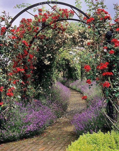 22 Beautiful Red Rose Garden Ideas You Must Look | SharonSable