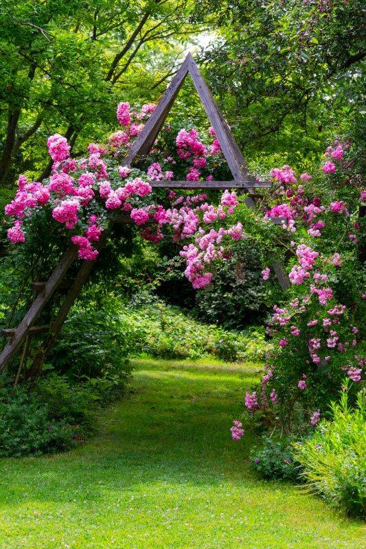 20 Rose Garden Path Ideas To Consider | SharonSable