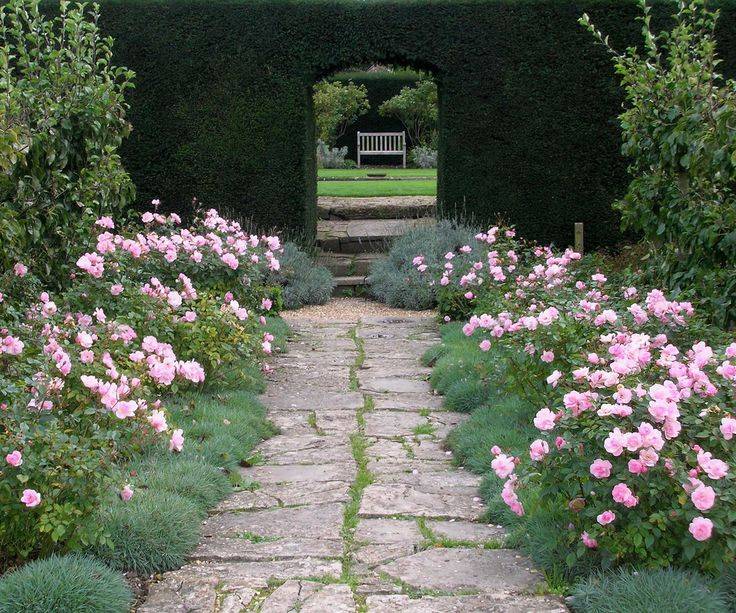 20 Rose Garden Path Ideas To Consider | SharonSable