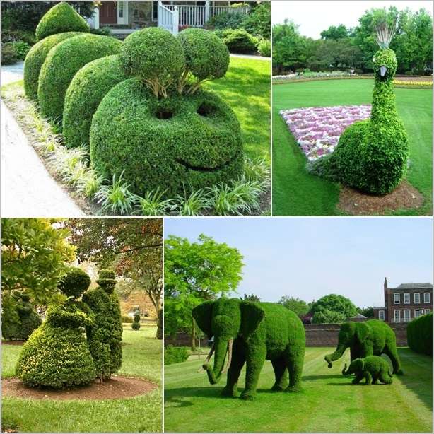 22 Topiary Home Garden Ideas To Consider | SharonSable