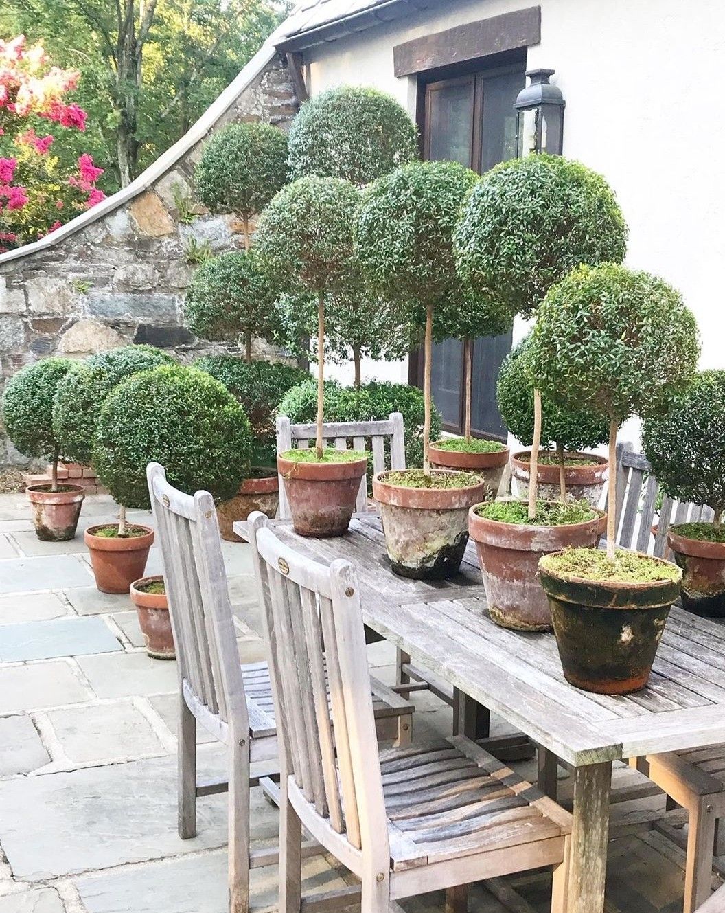 22 Topiary Home Garden Ideas To Consider | SharonSable