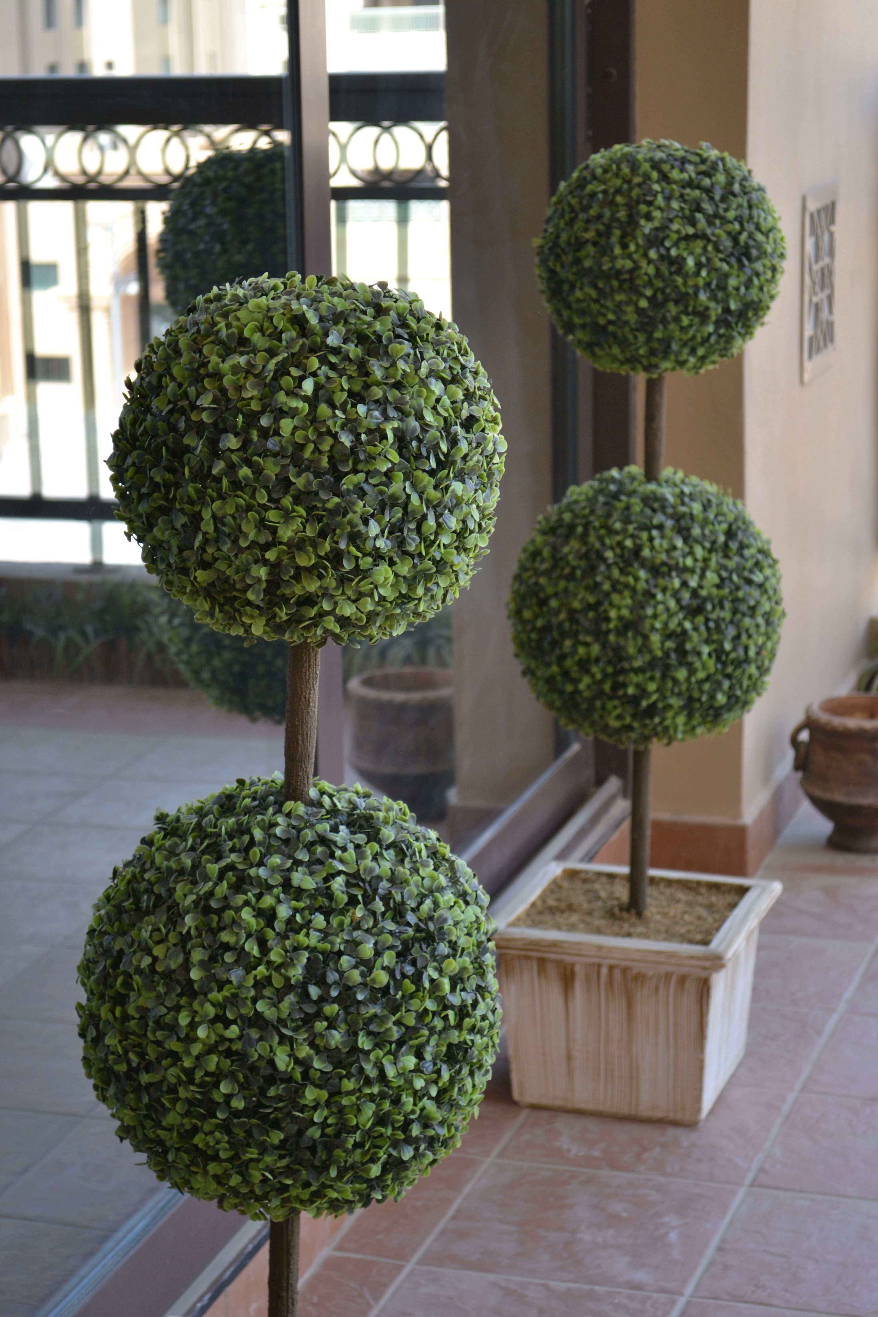 22 Topiary Home Garden Ideas To Consider | SharonSable