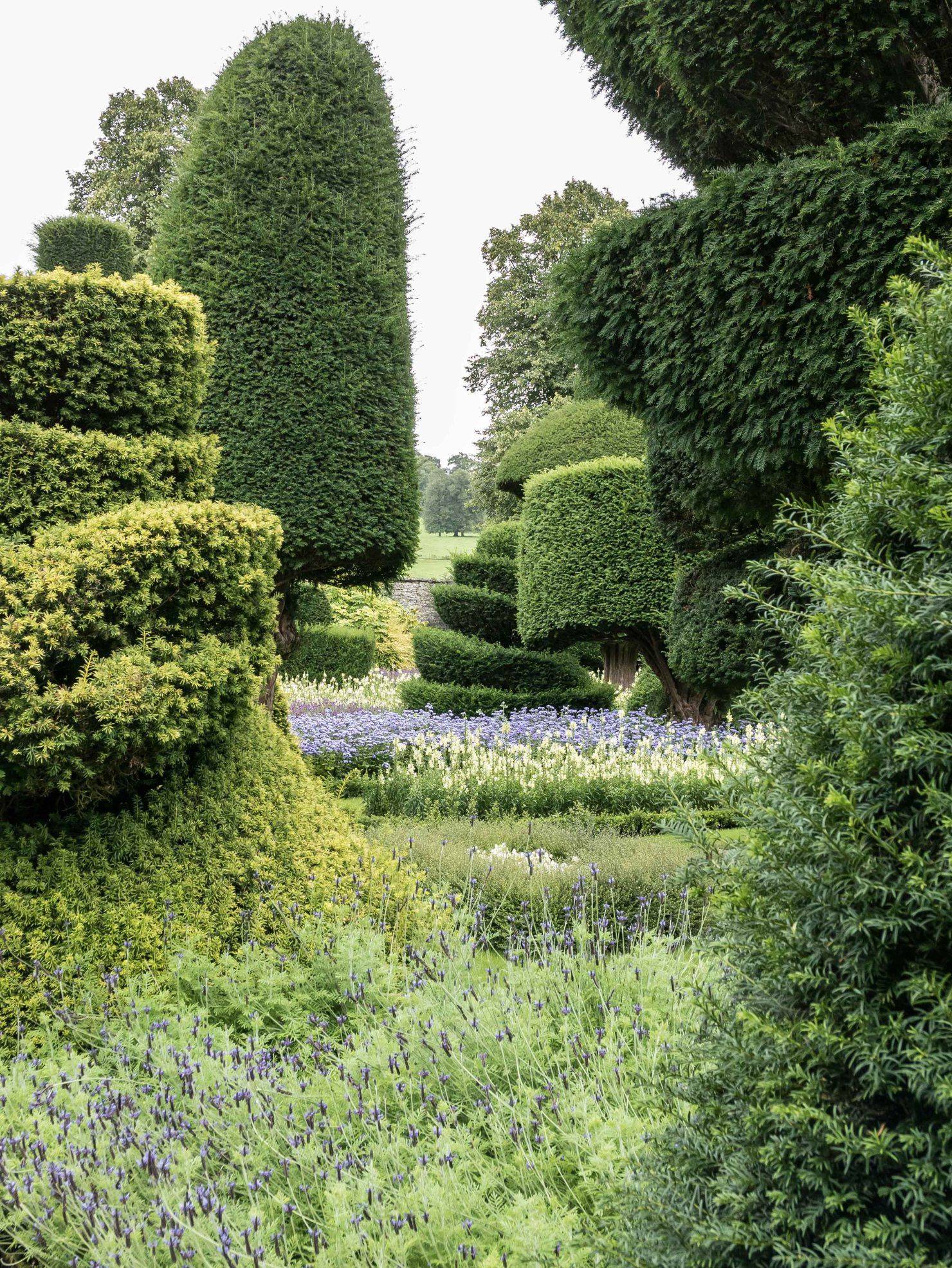 24 Topiary Tree Garden Ideas To Consider | SharonSable