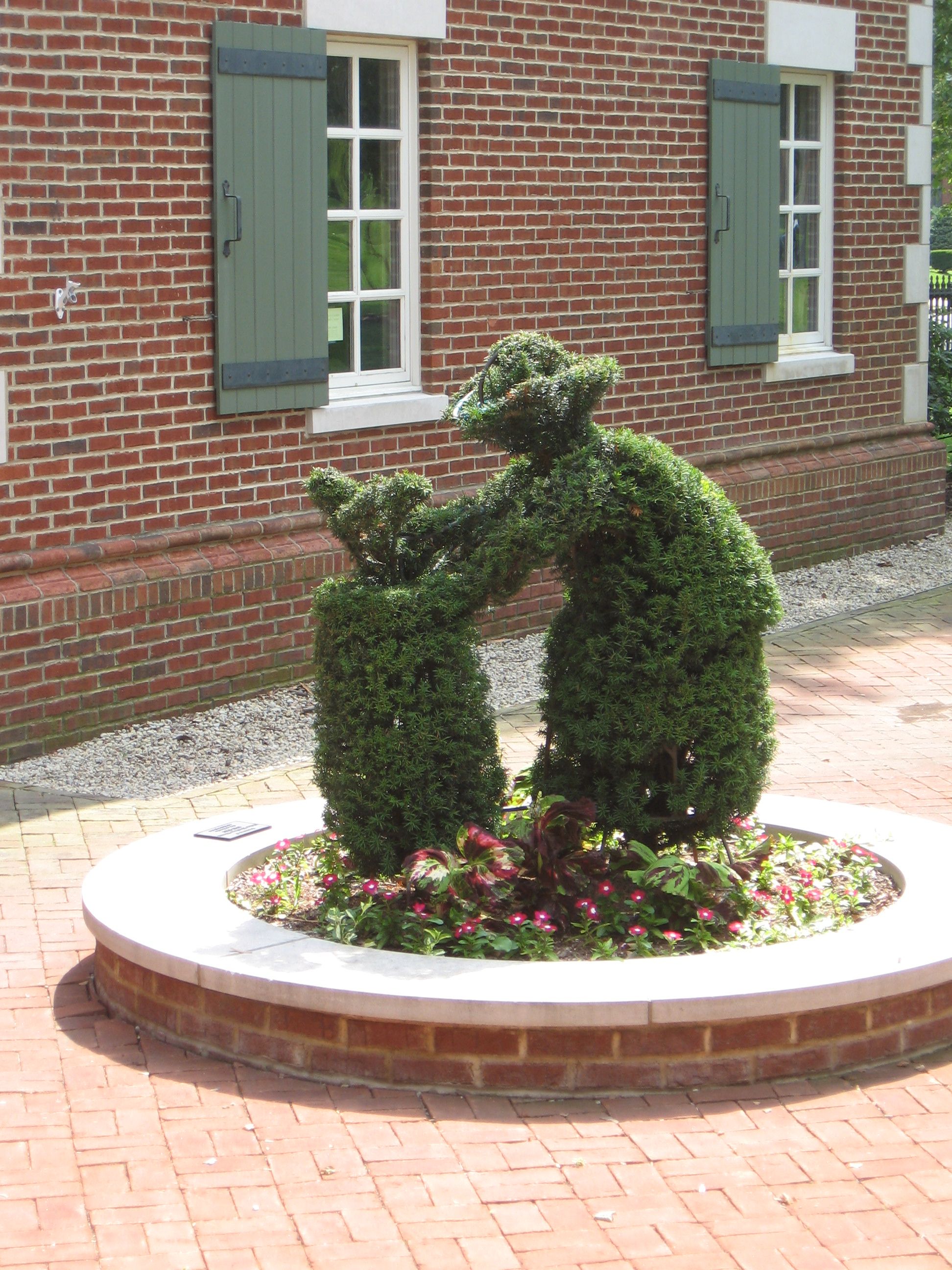 24 Topiary Tree Garden Ideas To Consider | SharonSable