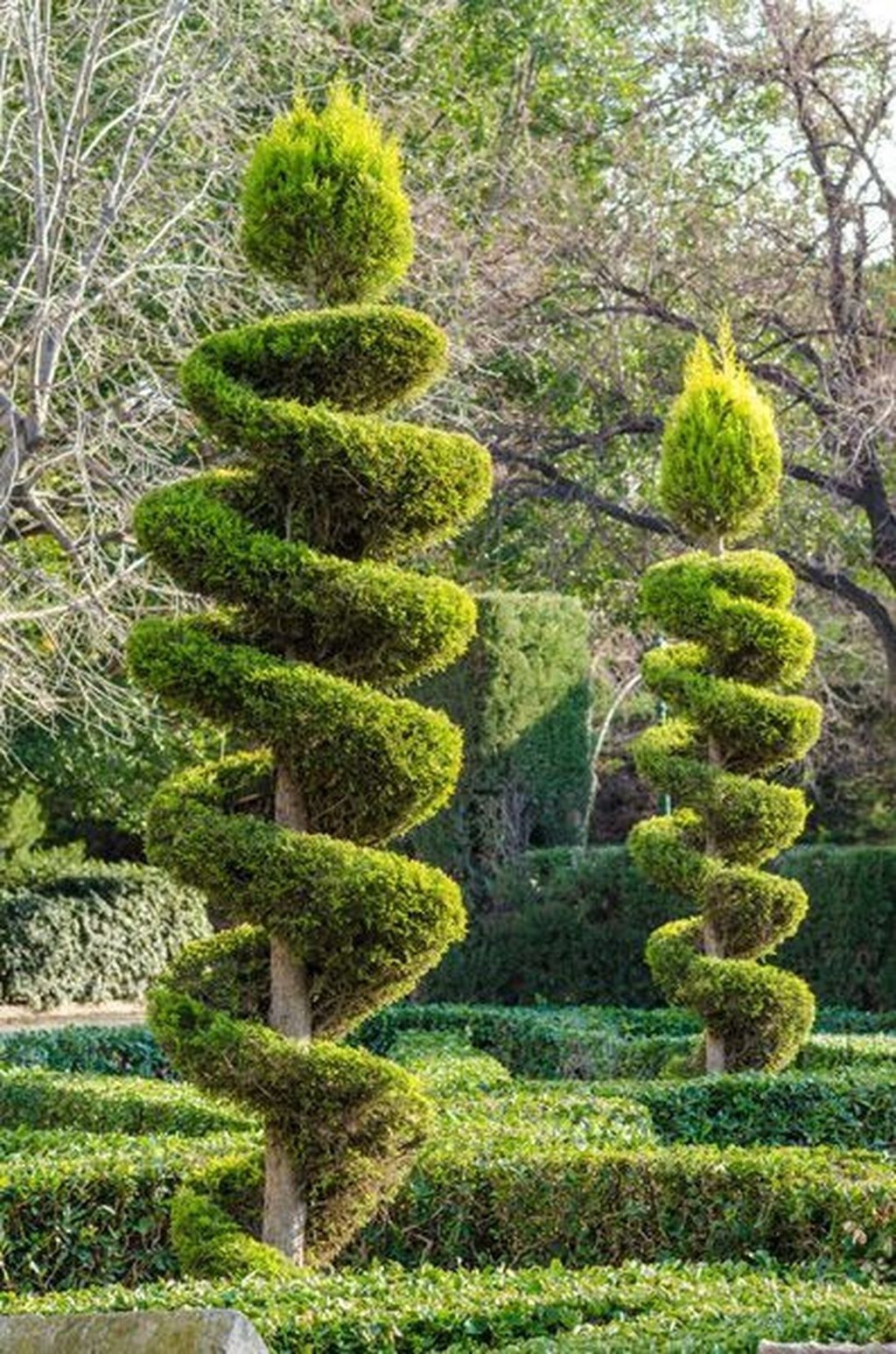 24 Topiary Tree Garden Ideas To Consider | SharonSable