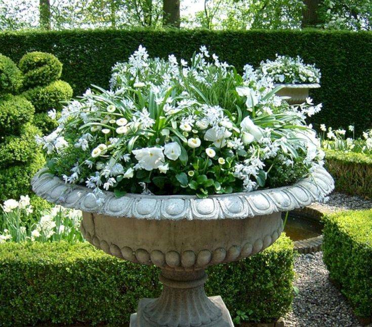 23 White Garden Planters Ideas You Must Look | SharonSable
