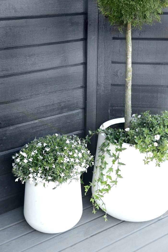 23 White Garden Planters Ideas You Must Look | SharonSable