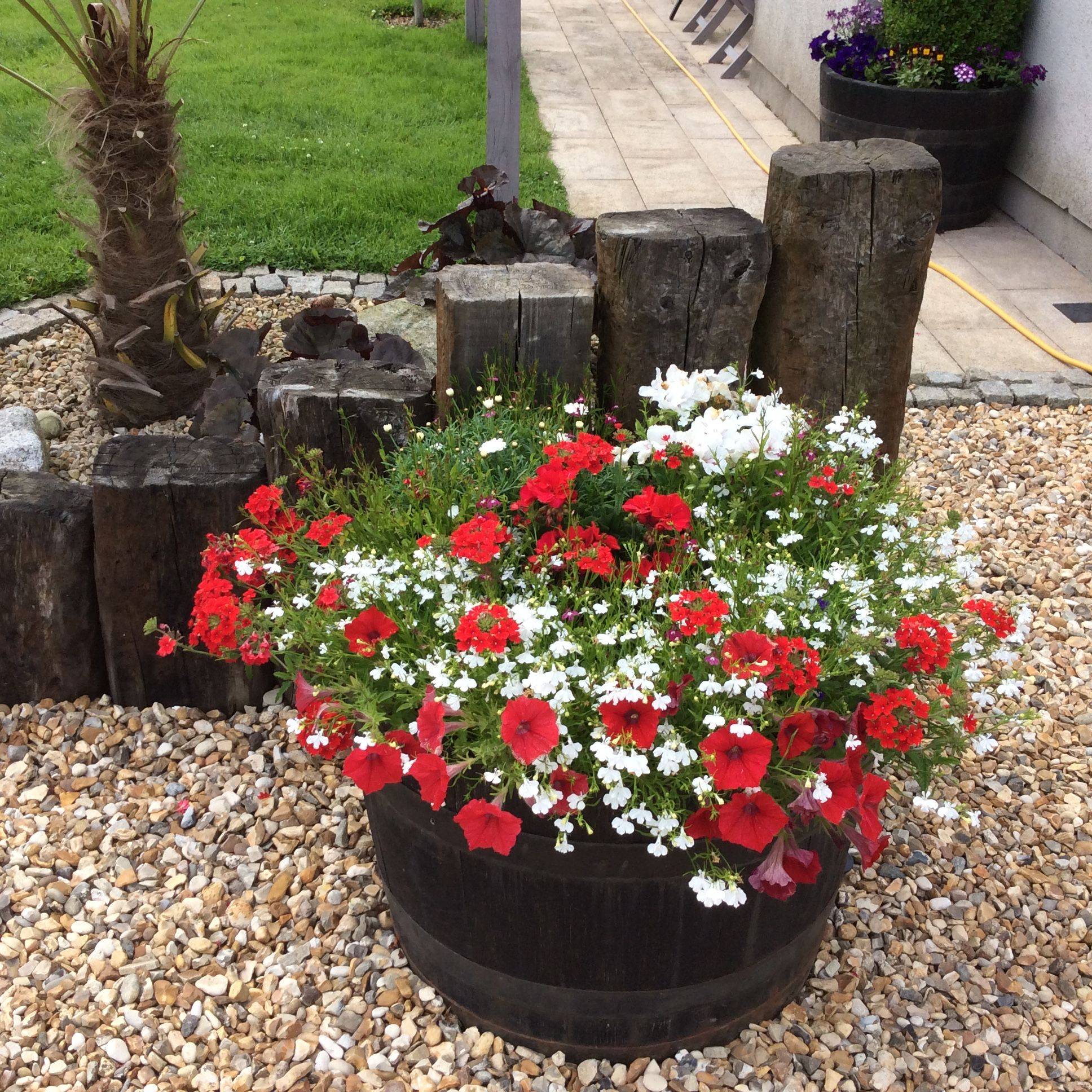 23 White Garden Planters Ideas You Must Look | SharonSable