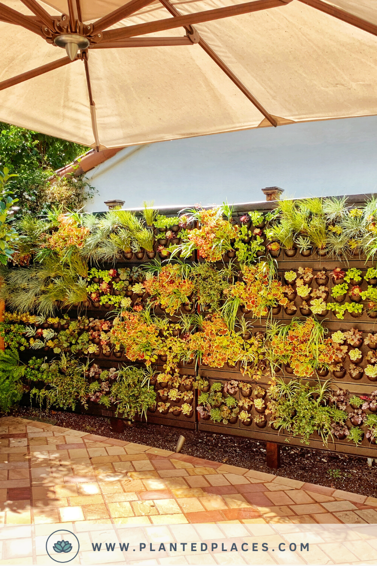21 Vertical Garden Kit Ideas Worth to Check | SharonSable