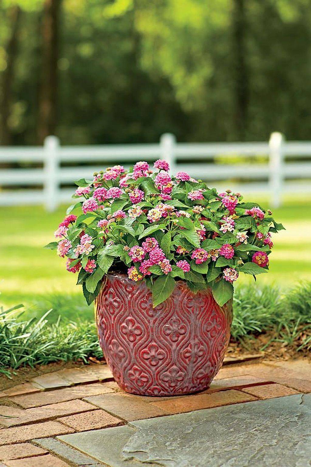 24 Flower Pot Garden Ideas You Gonna Love | SharonSable