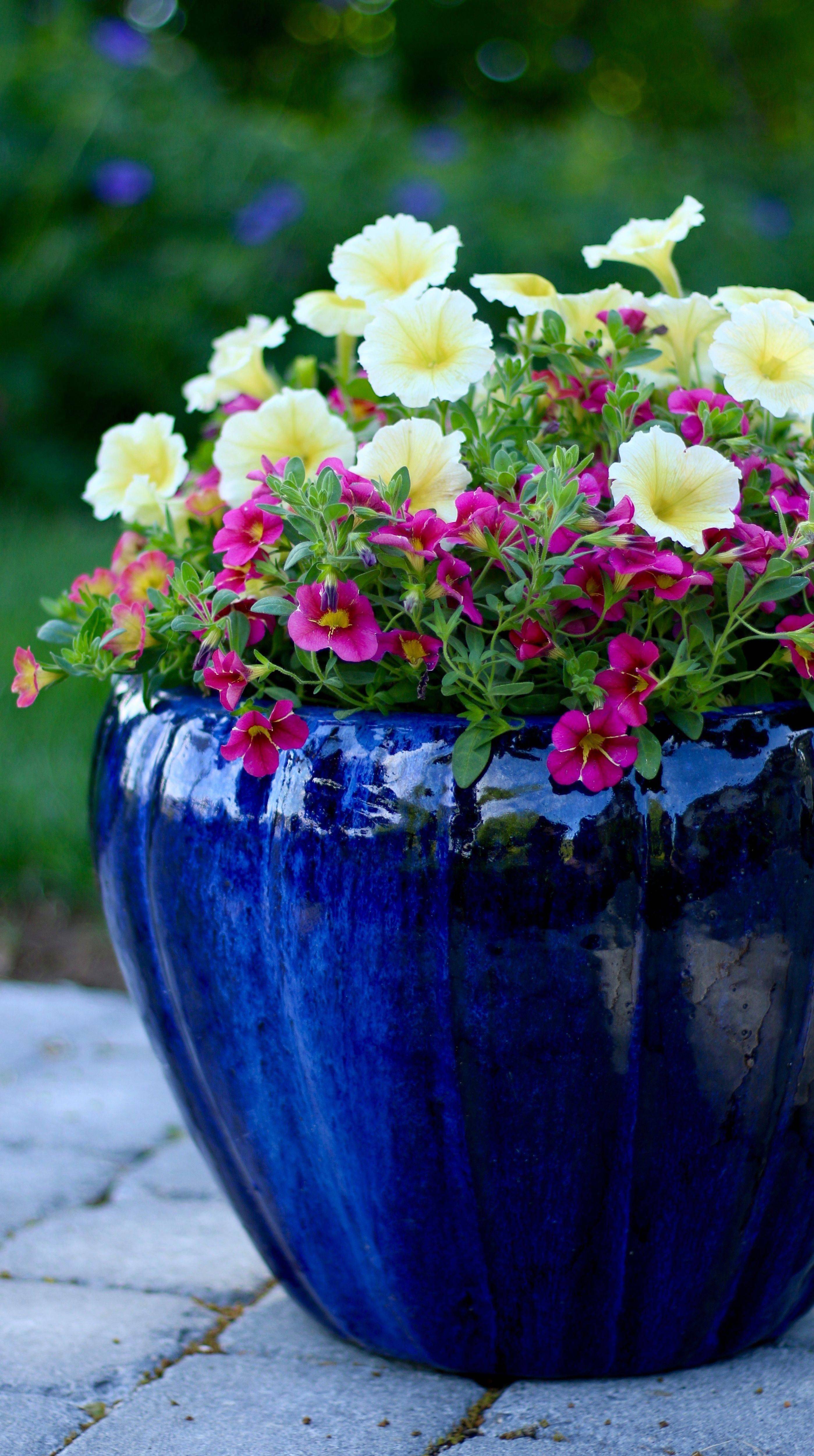 24 Flower Pot Garden Ideas You Gonna Love | SharonSable