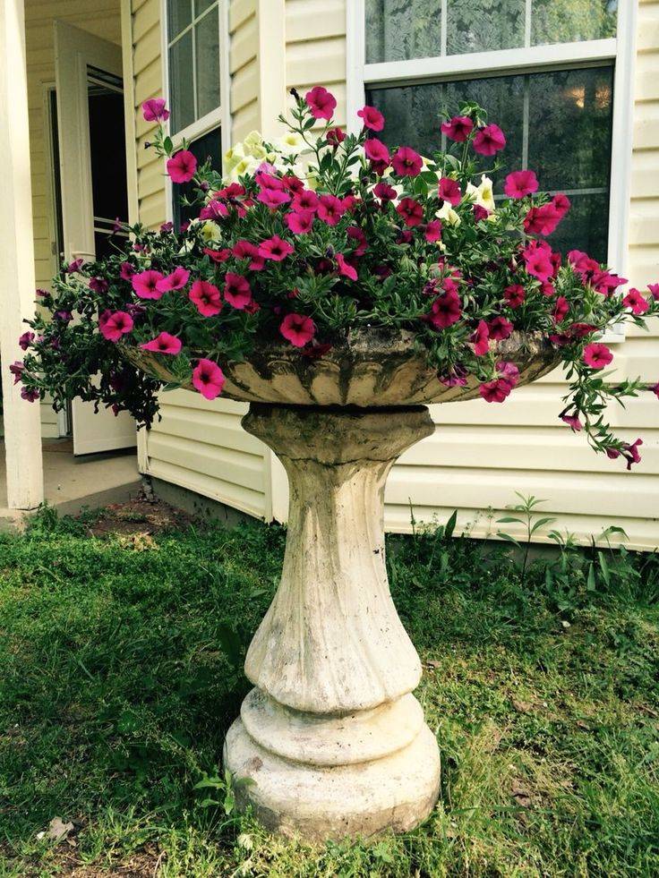 24 Spring Flower Garden with Fountains Ideas To Try This Year | SharonSable