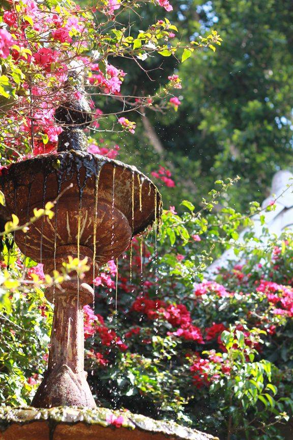 24 Spring Flower Garden with Fountains Ideas To Try This Year | SharonSable