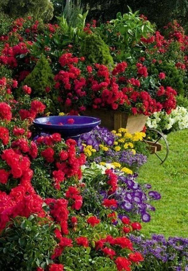 19 Rose Garden Patio Ideas You Should Check | SharonSable