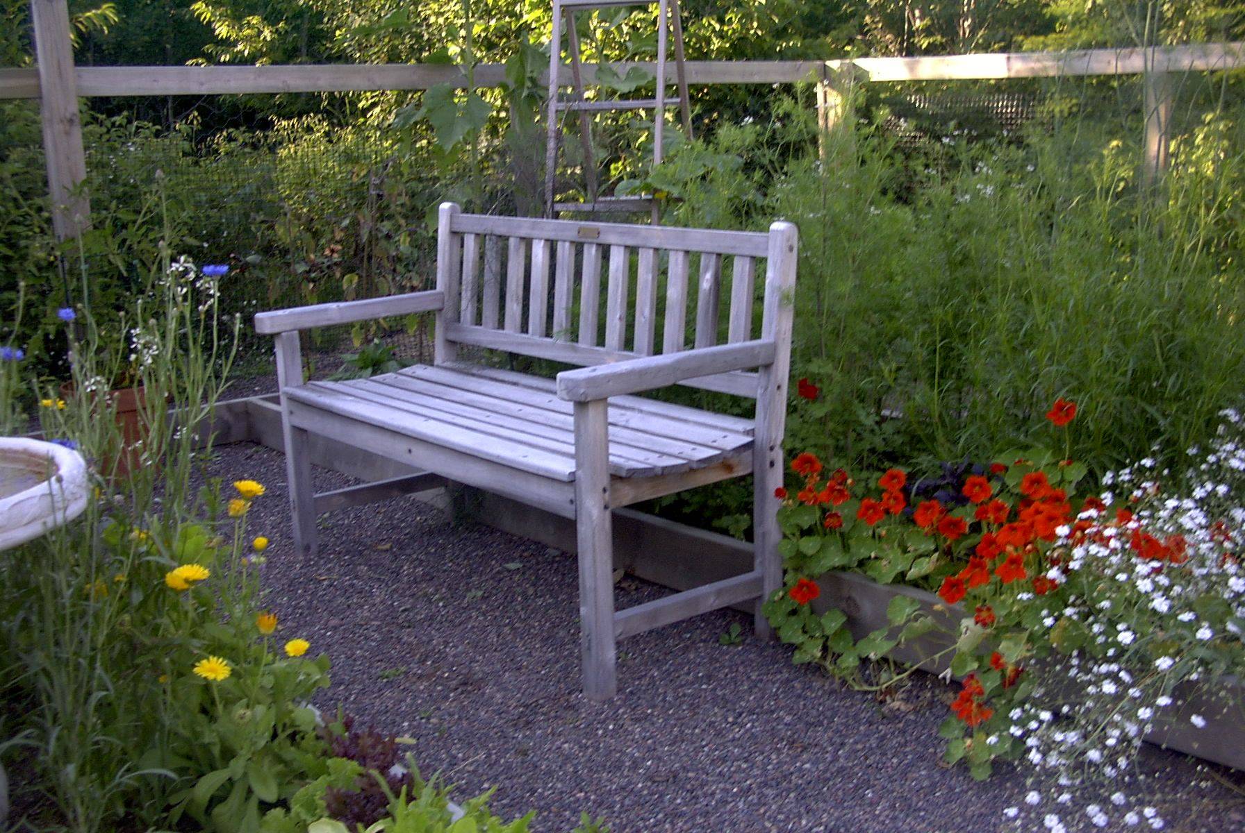 18 Cottage Garden Benches Ideas You Should Look | SharonSable