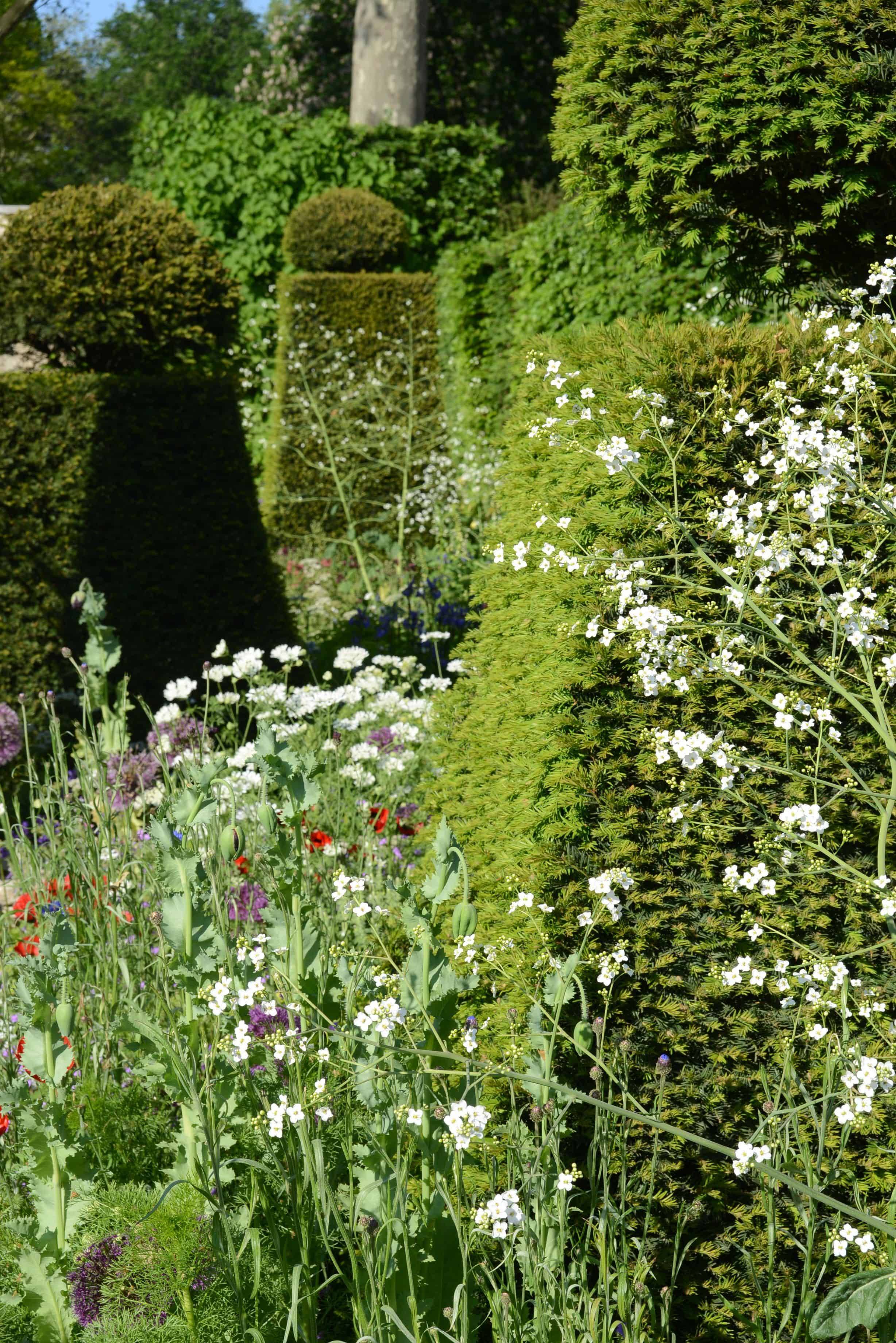 18 Cleve West Garden Designer Ideas You Should Look | SharonSable