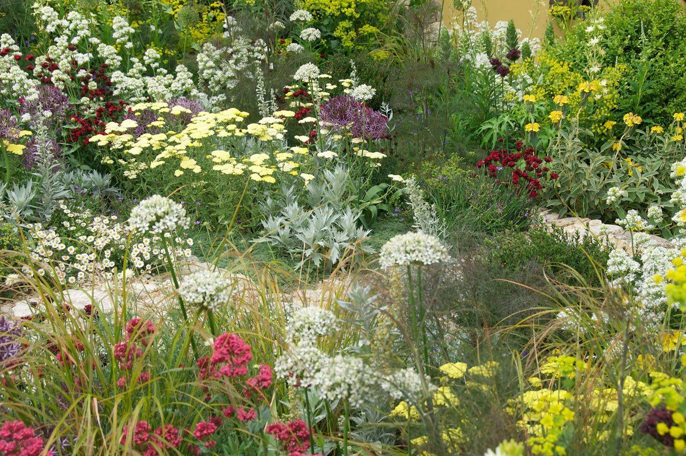 18 Cleve West Garden Design Ideas Worth to Check | SharonSable