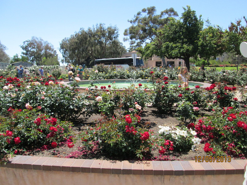 24 Balboa Park Rose Garden Ideas Worth a Look | SharonSable