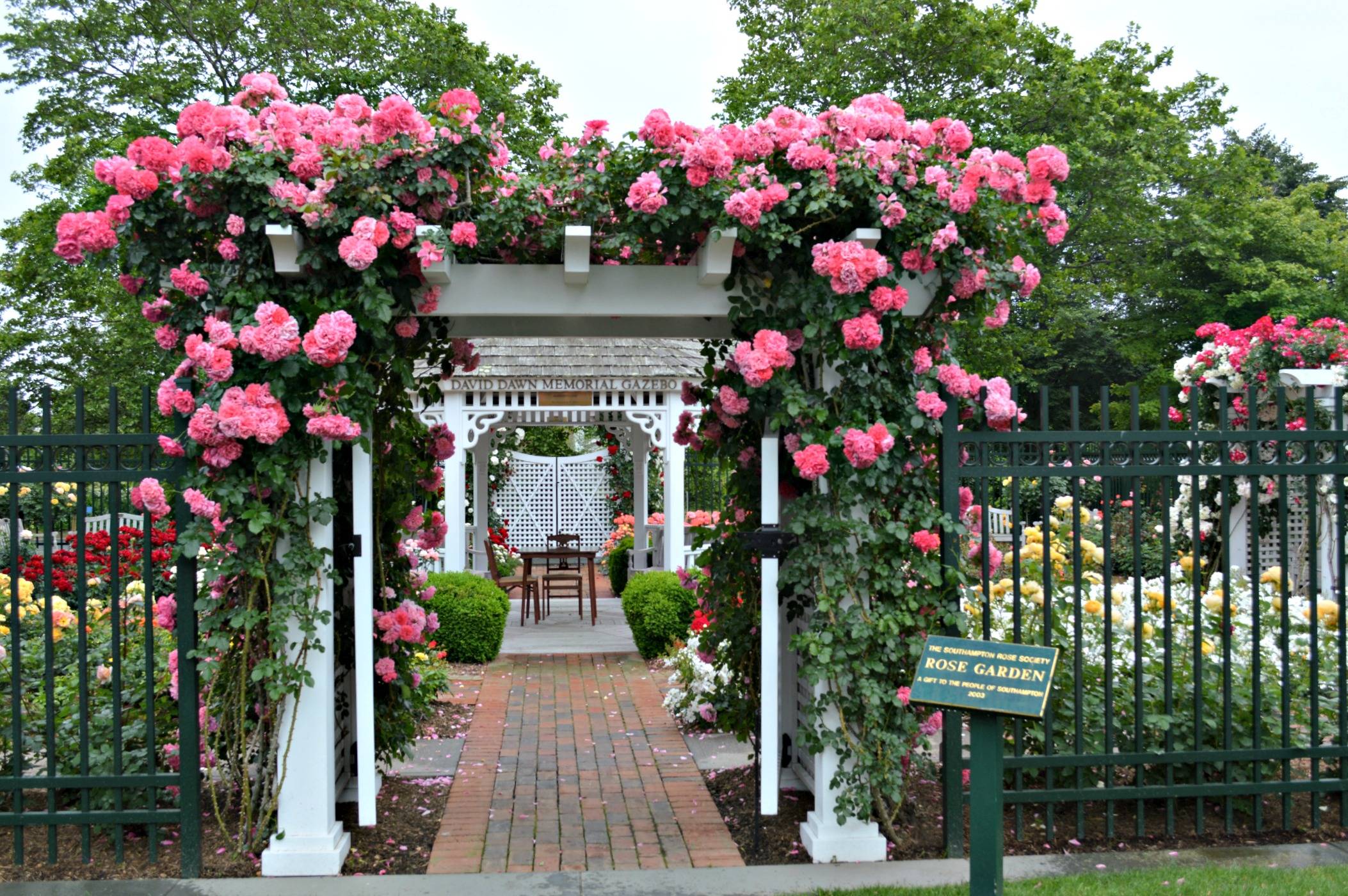 24 Exposition Rose Garden Ideas You Gonna Love | SharonSable