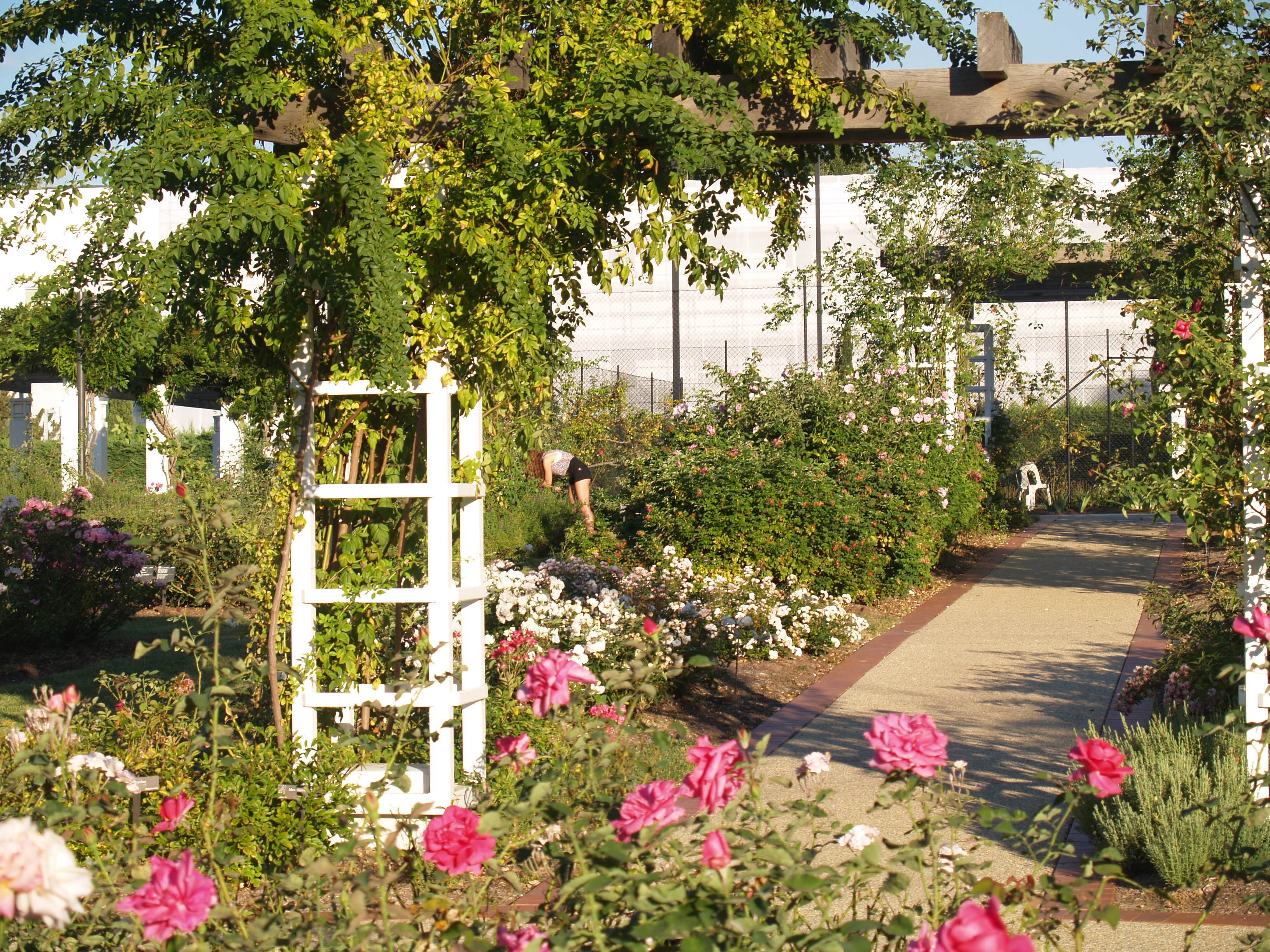24 Exposition Rose Garden Ideas You Gonna Love | SharonSable