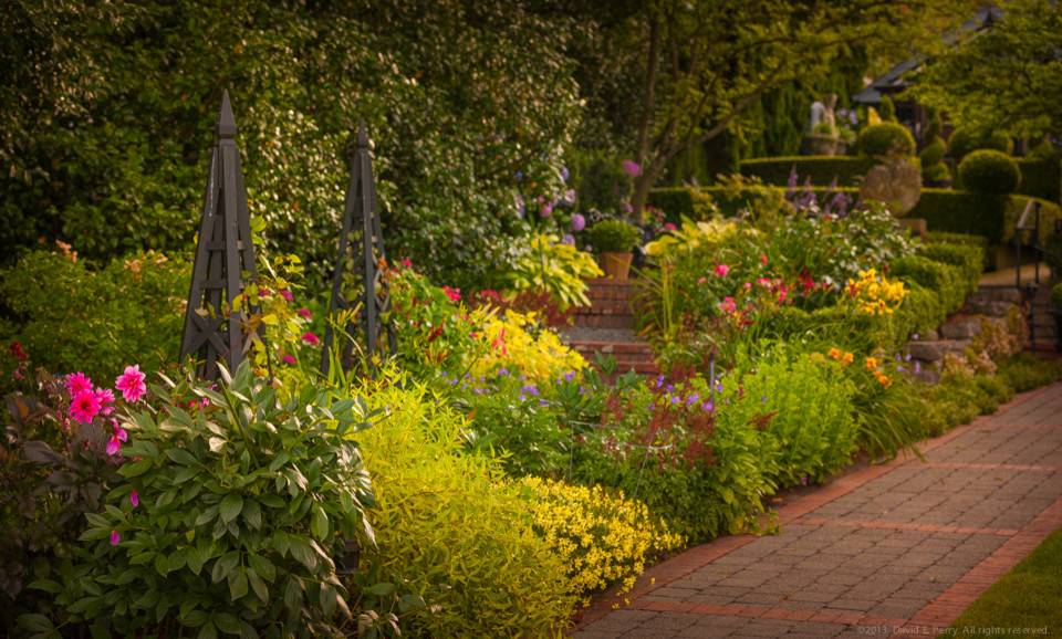18 Seattle Rose Garden Ideas You Should Look | SharonSable