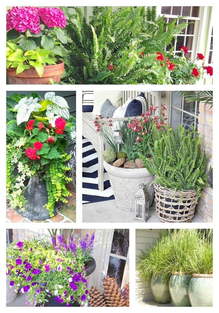 24 Creative Container Gardening Ideas To Try This Year | SharonSable