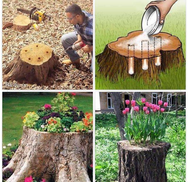 18 DIY Tree Stump Garden Ideas Container You Should Check | SharonSable